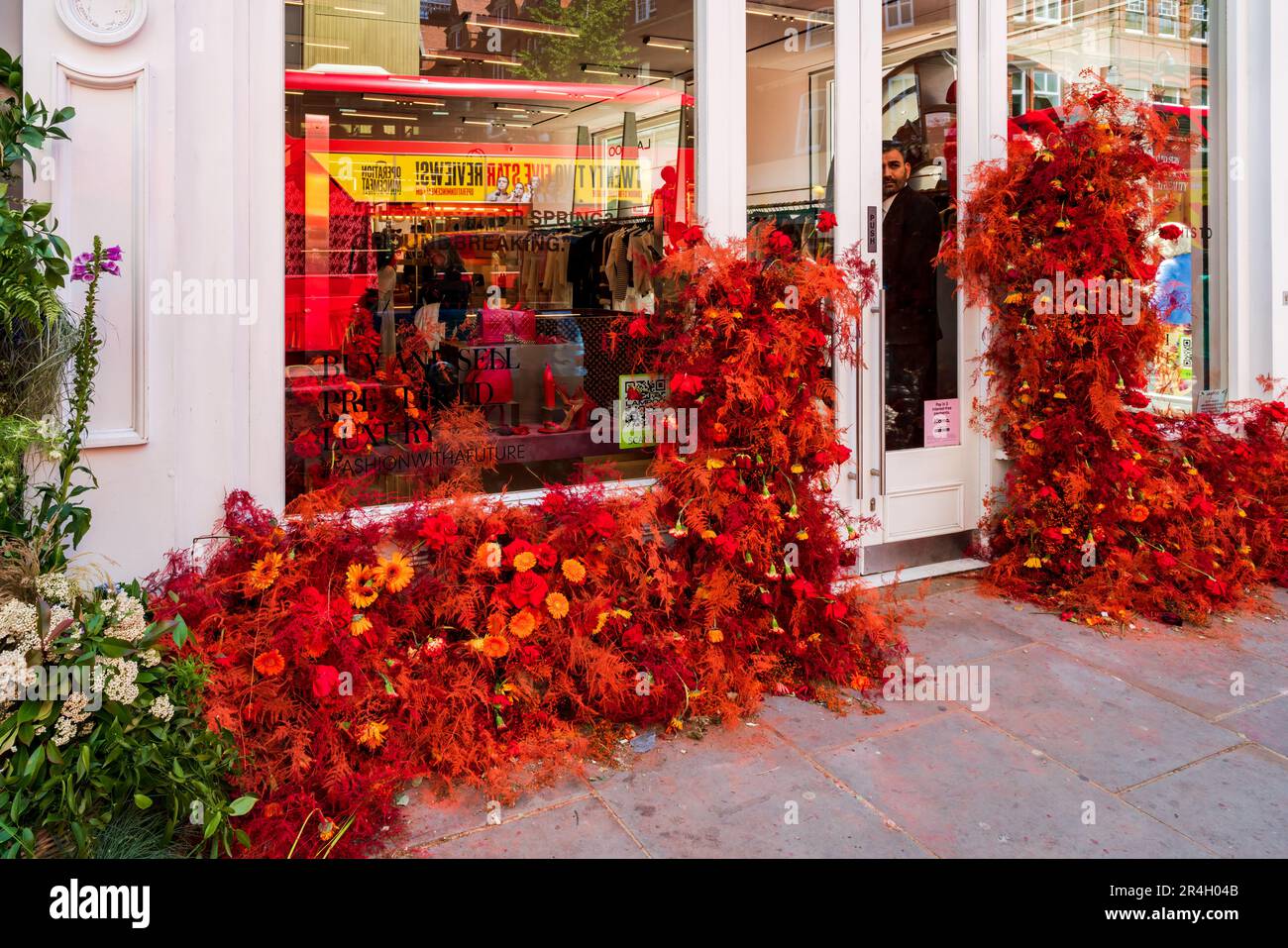 LONDON, UK - MAY 26, 2023: Spectacular floral displays for Chelsea in ...