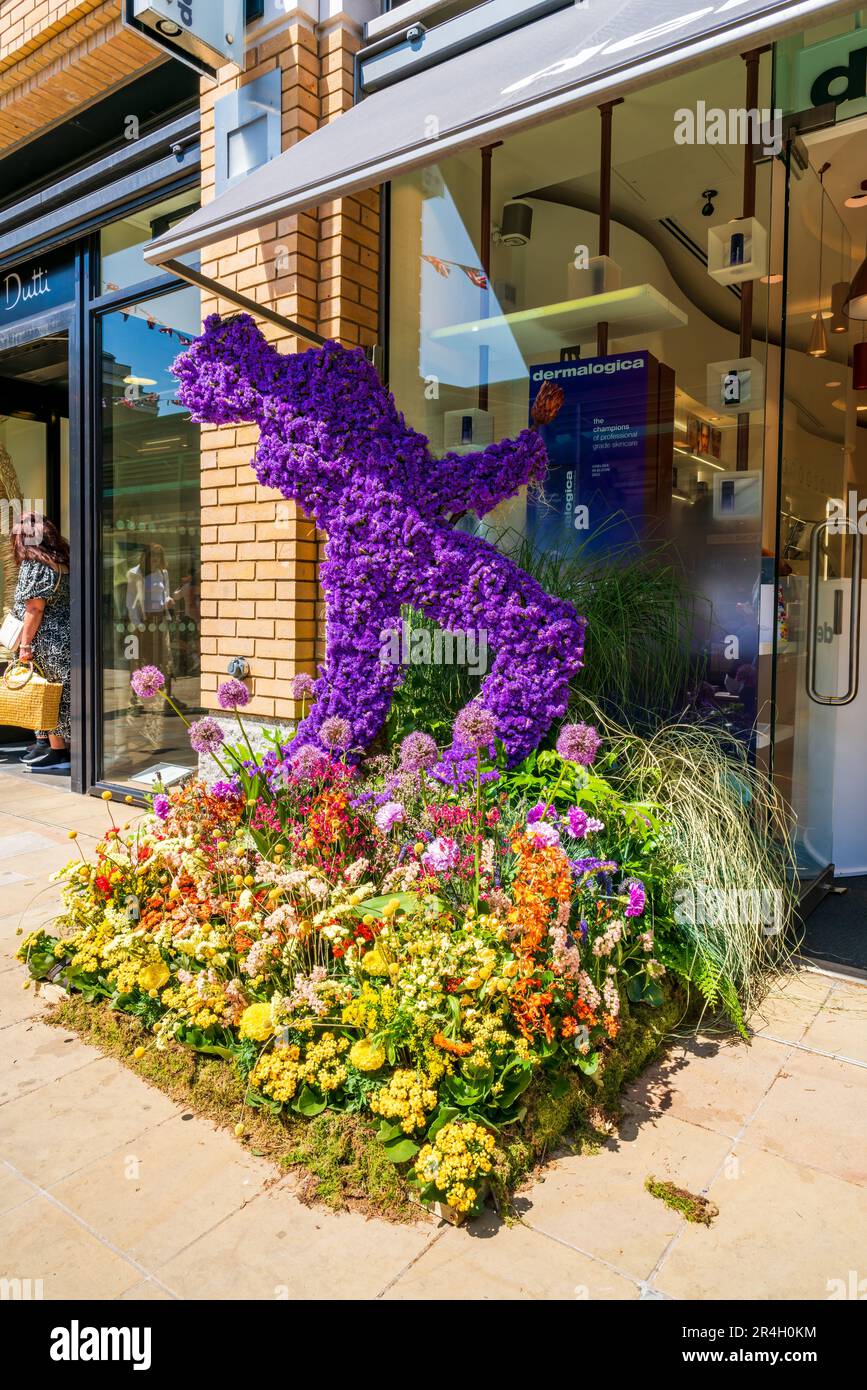 LONDON, UK - MAY 26, 2023: Spectacular floral displays for Chelsea in ...
