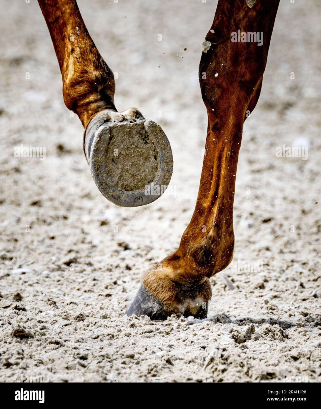 Devenda dijkstra hi-res stock photography and images - Alamy