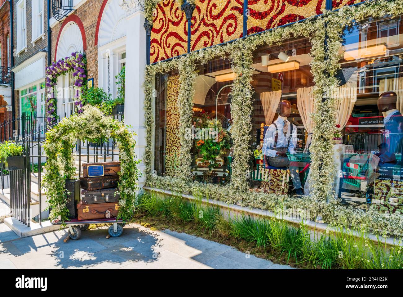 LONDON, UK - MAY 26, 2023: Spectacular floral displays for Chelsea in ...