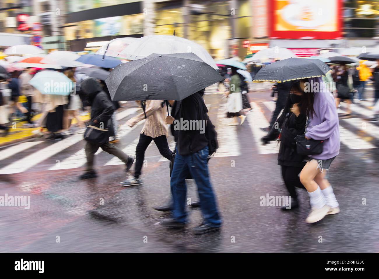 picture in motion blur of a crowd of people with umbrellas crossing the ...