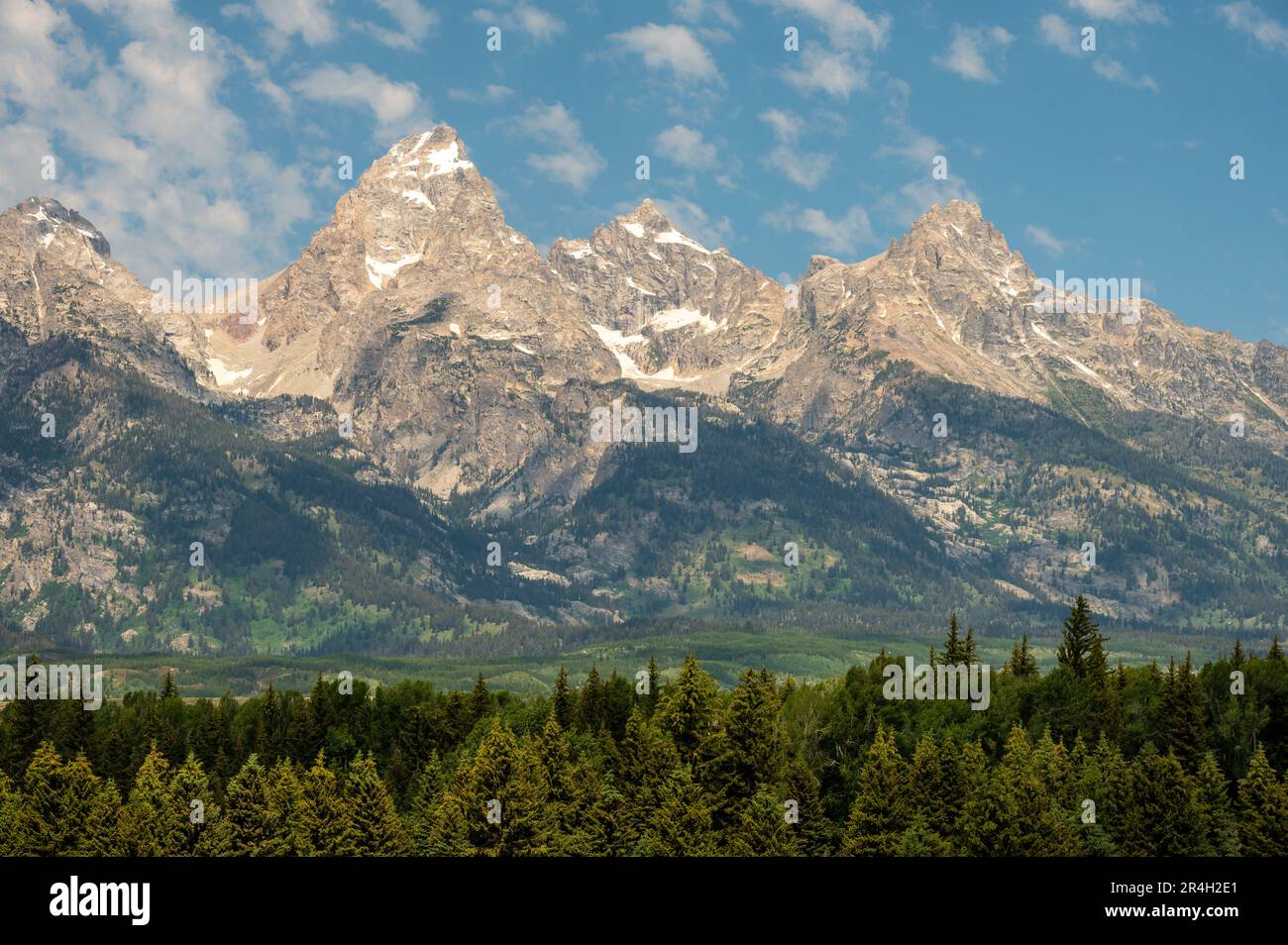 Grand Teton Rises High Over The Trees In The Valley Below in Summer ...