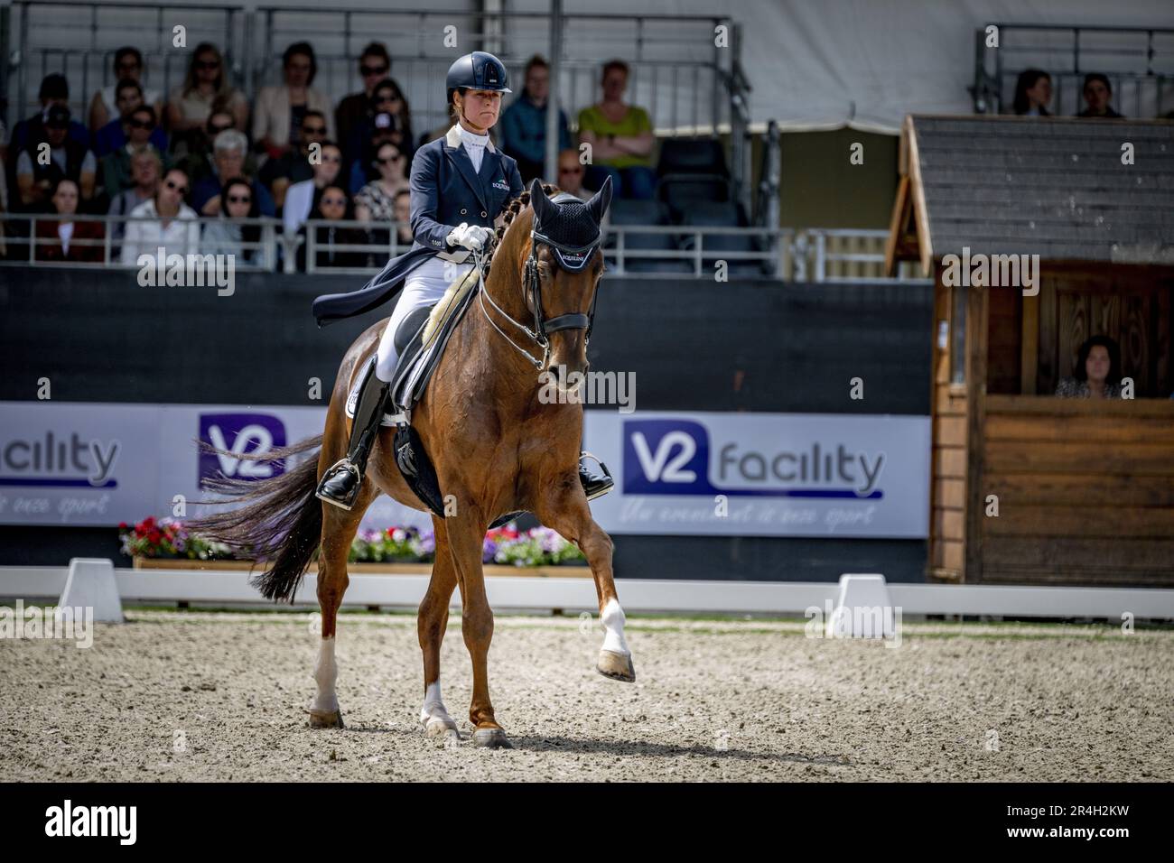 ERMELO - Adelinde Cornelissen with Fleau de Baian in action during the ...