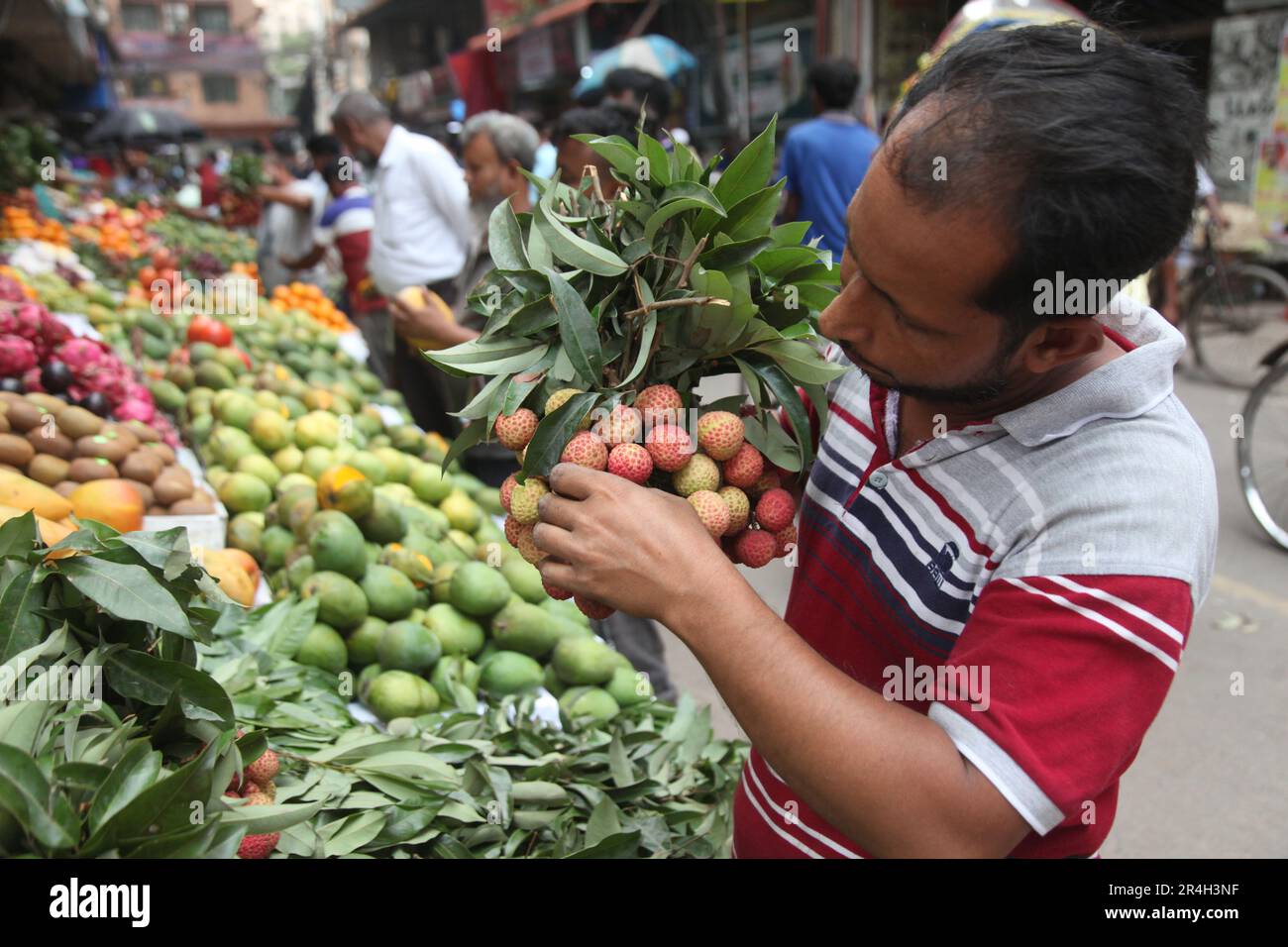 Dhaka, Bangladesh. Bangladeshi vendor sell fruits on a street market in Dhaka, Bangladesh on may ...
