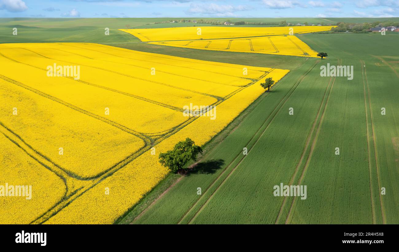 Aerial view canola fields canola hi-res stock photography and images ...