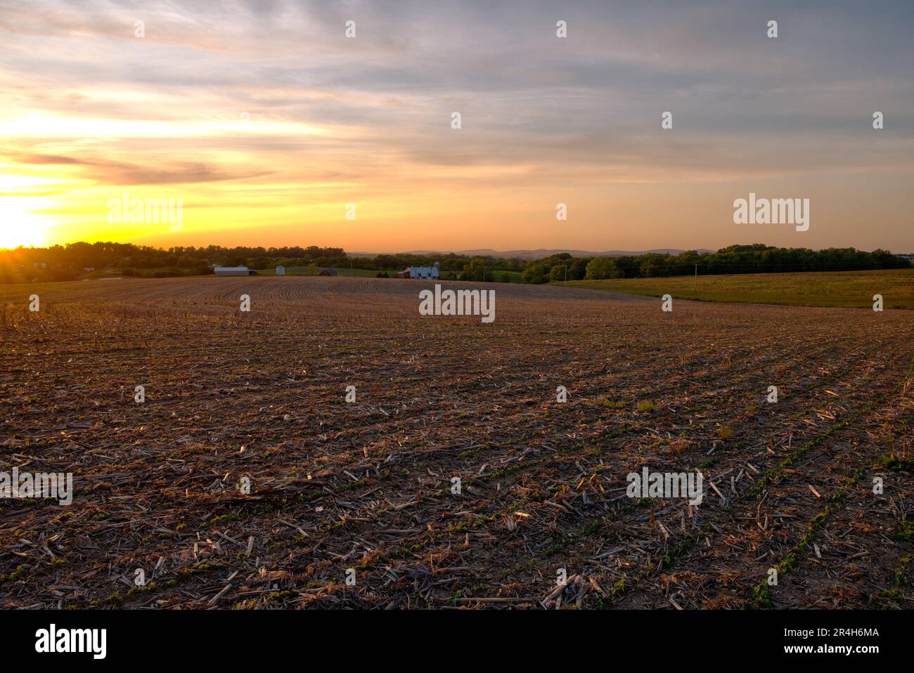 Hills woods forest fields farms trees hi-res stock photography and ...