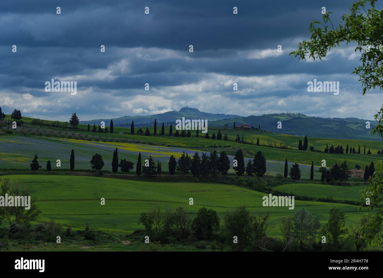 Tuscany hillsl hi-res stock photography and images - Alamy