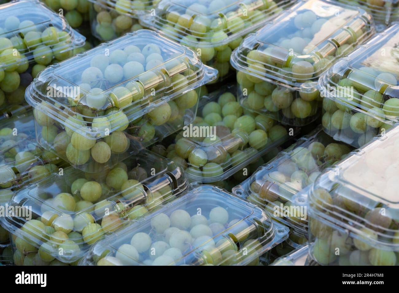 White grapes packed in transparent plastic boxes in a supermarket Stock ...