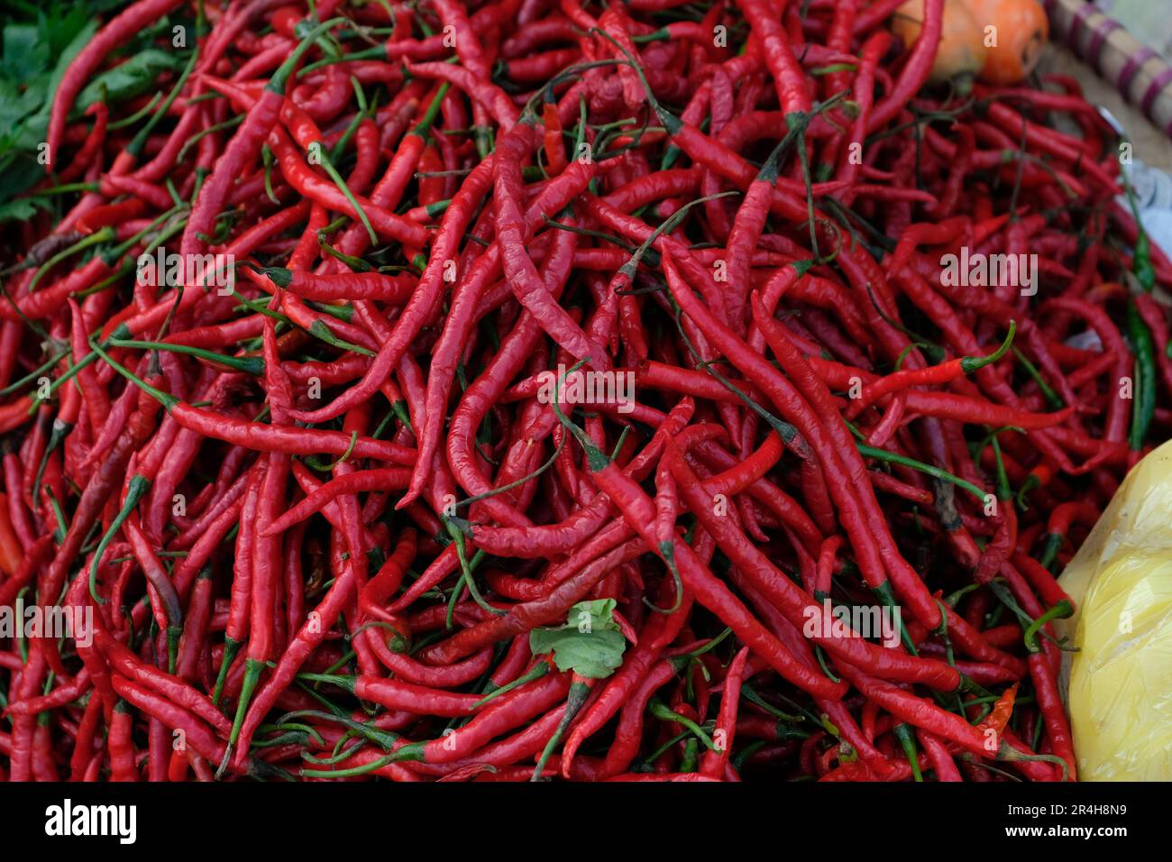 Many red chili peppers. Red hot chilli peppers pattern texture ...