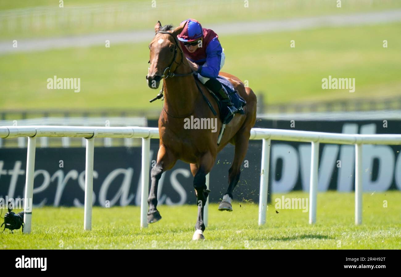 Luxembourg horse curragh hi-res stock photography and images - Alamy