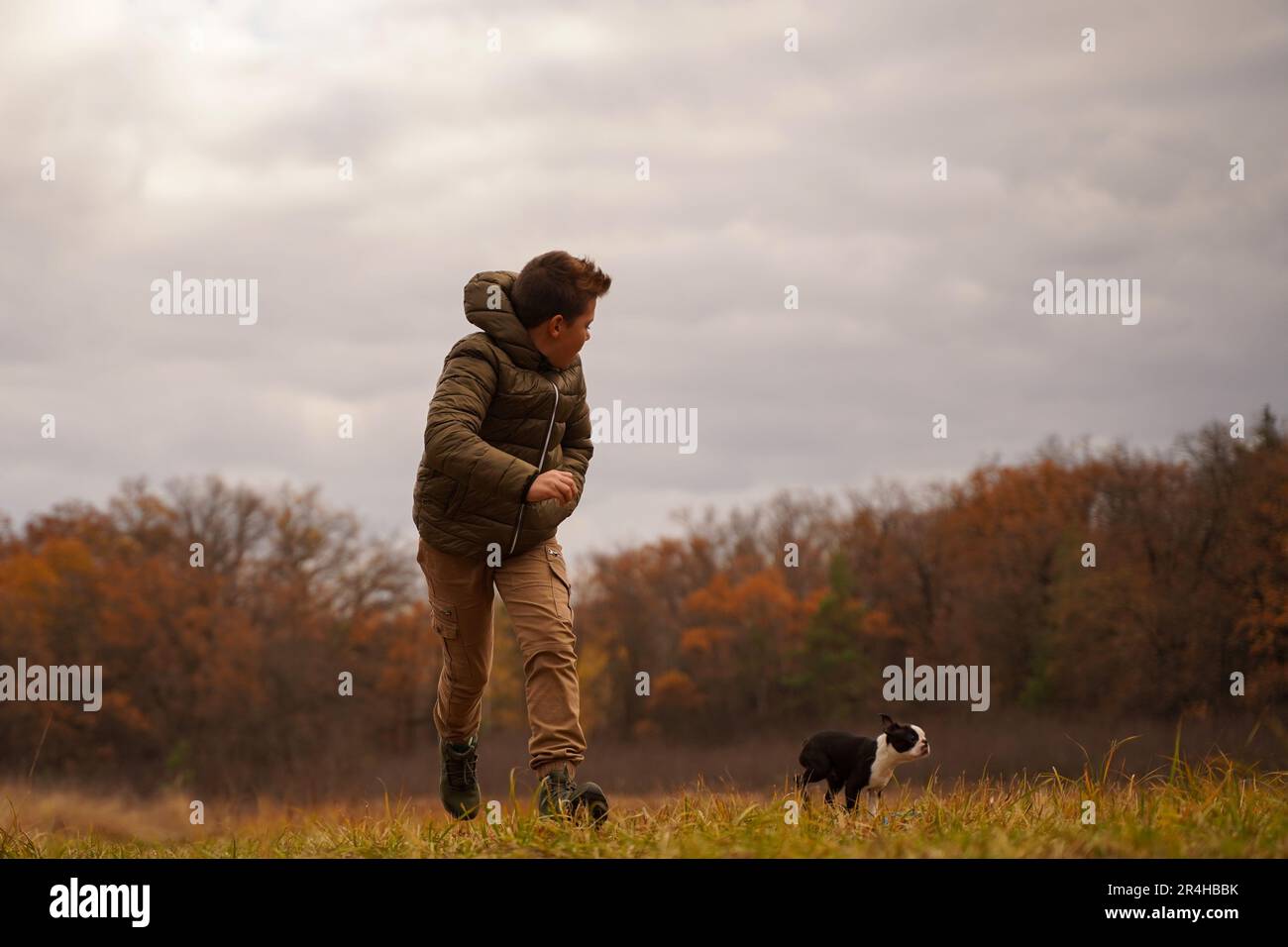 A boy with a dog running in nature Stock Photo - Alamy