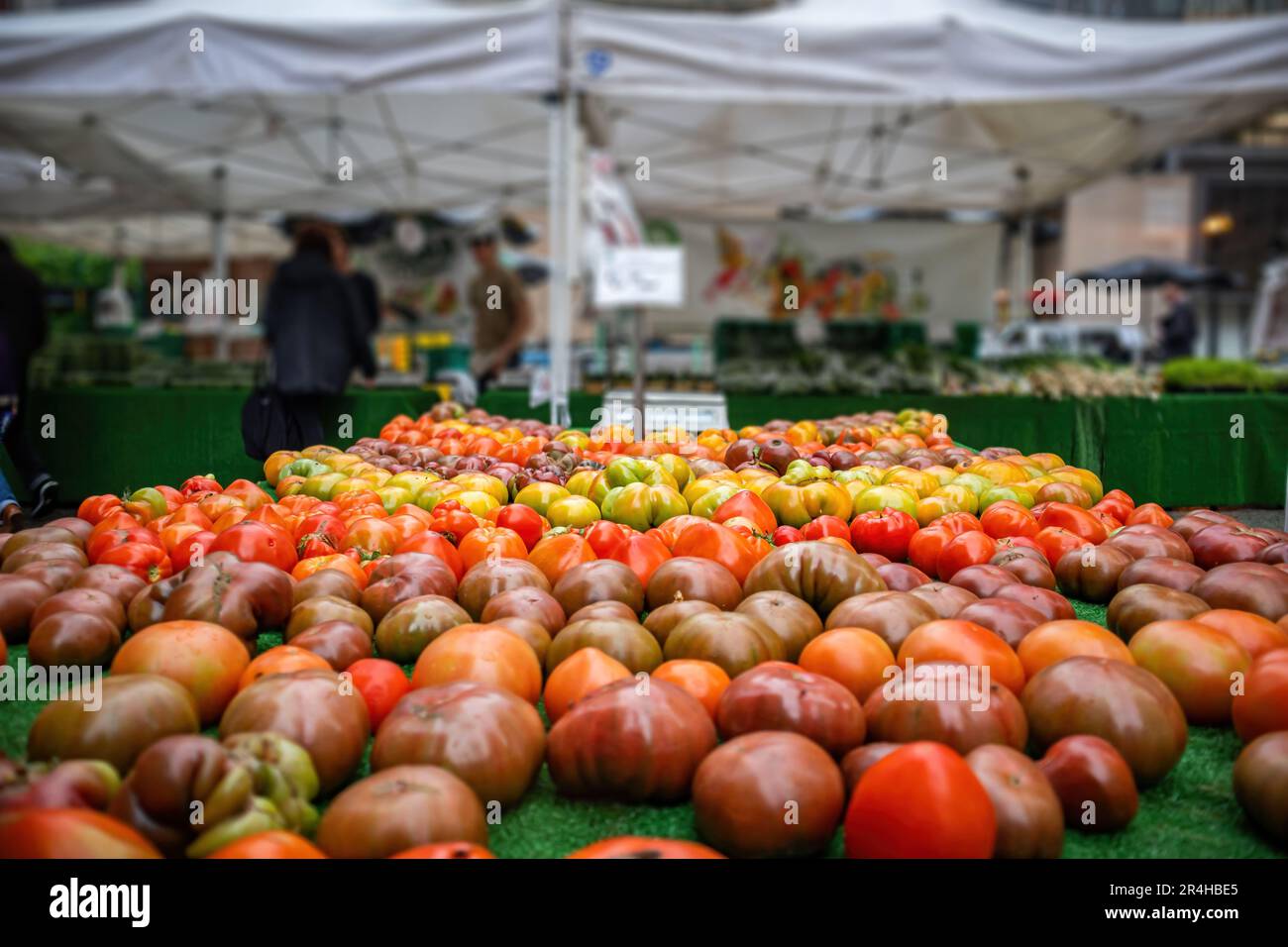 Organic tomatoes variety, farmers market stall, bio food, healthy ...