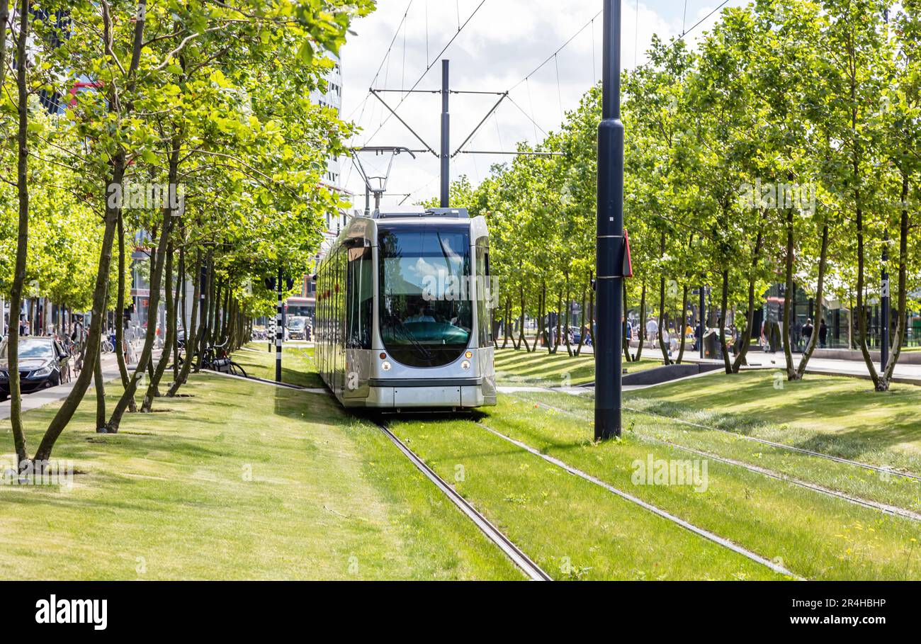 Tram in the city center, green trees background, public transportation ...
