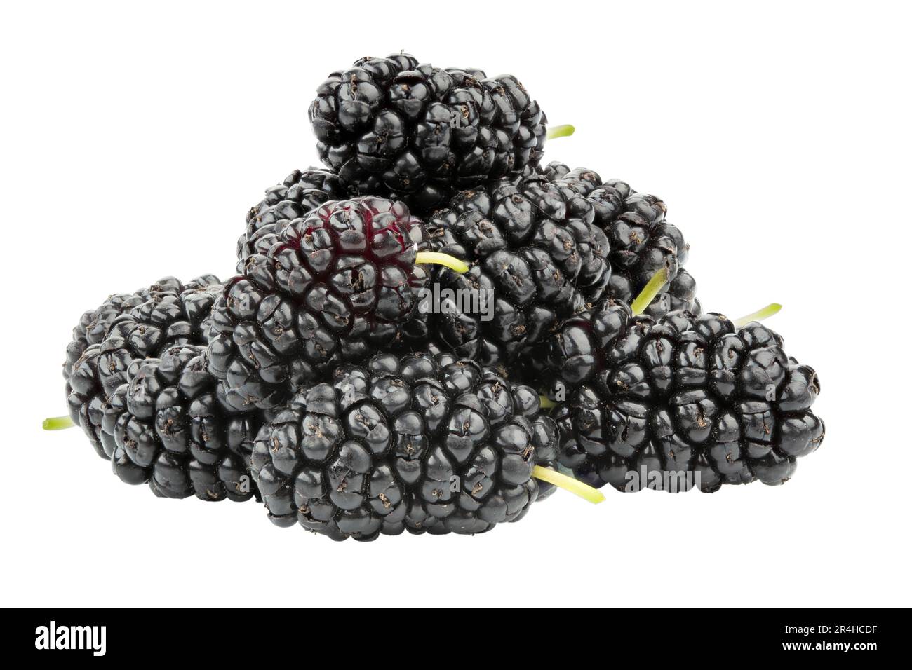 Many ripe mulberries isolated on white background. File contains ...