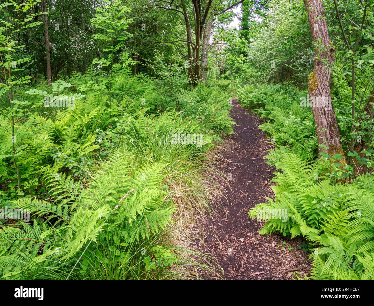 Levels of growth hi-res stock photography and images - Alamy