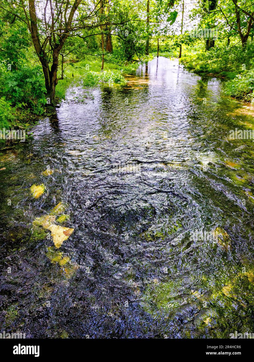 Lyd Well the hidden water source of the River Thames gushing from ...