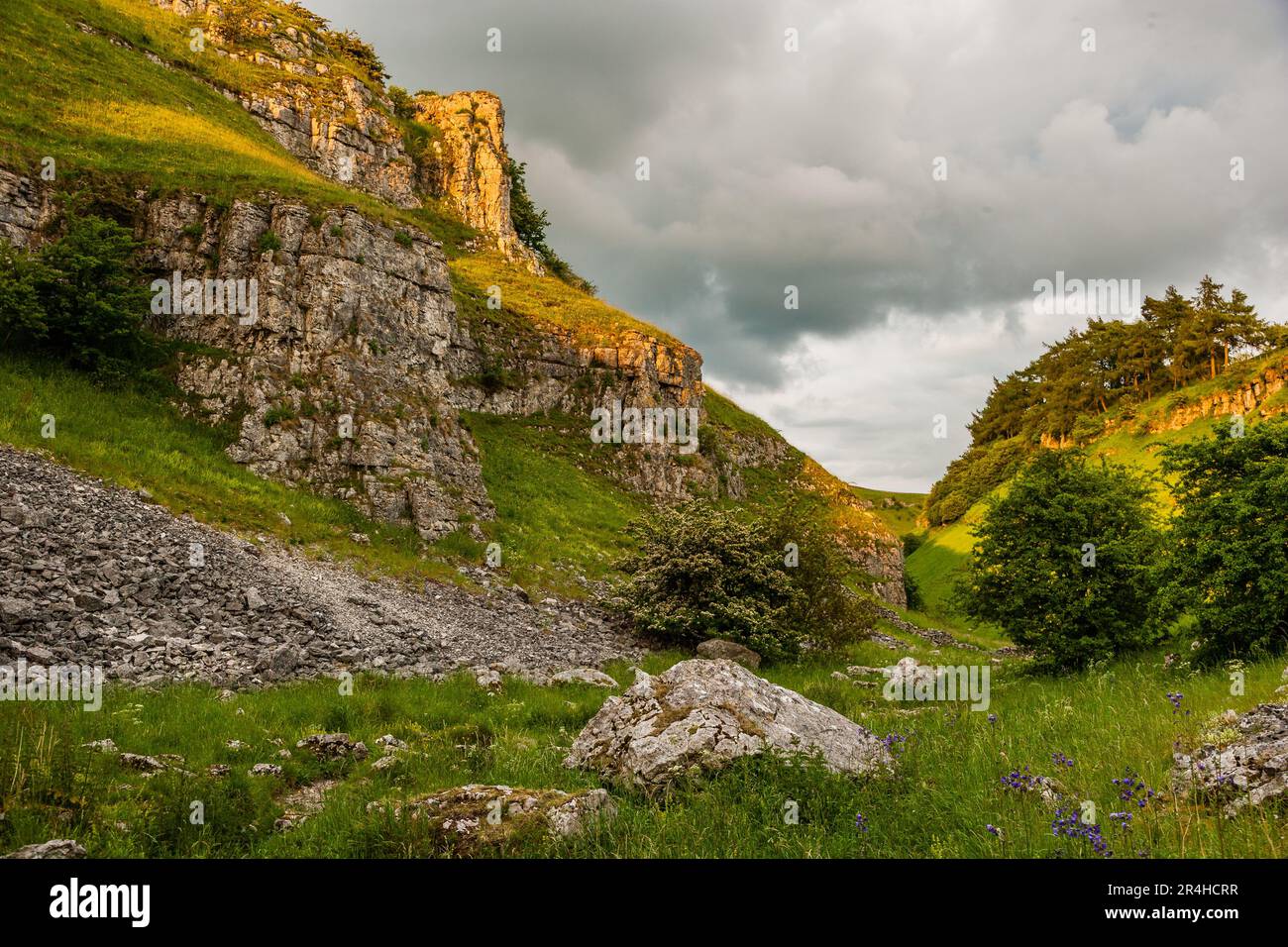 Derbyshire national nature reserve hi-res stock photography and images ...