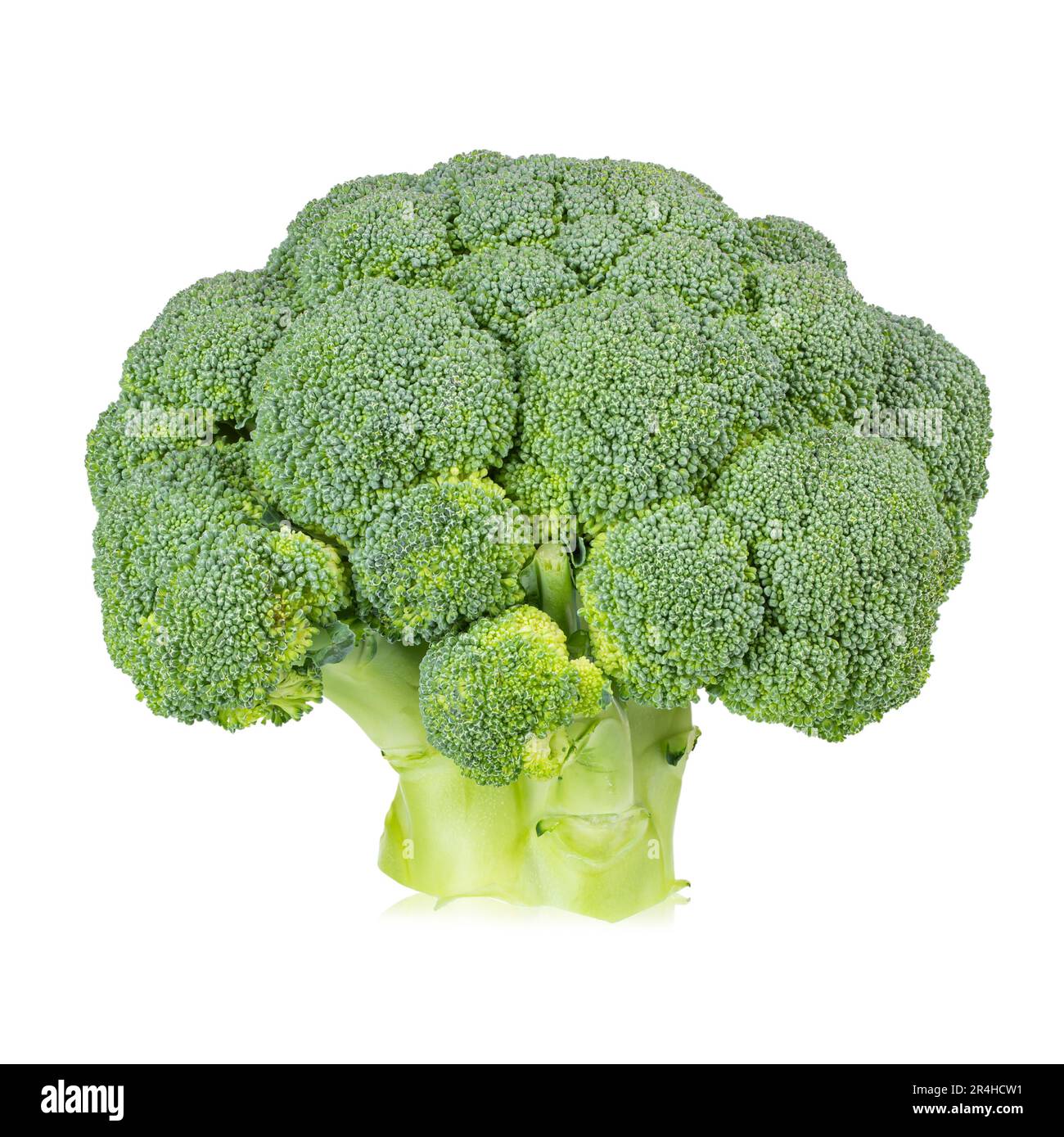 Fresh broccoli inflorescence isolated on white background. File ...