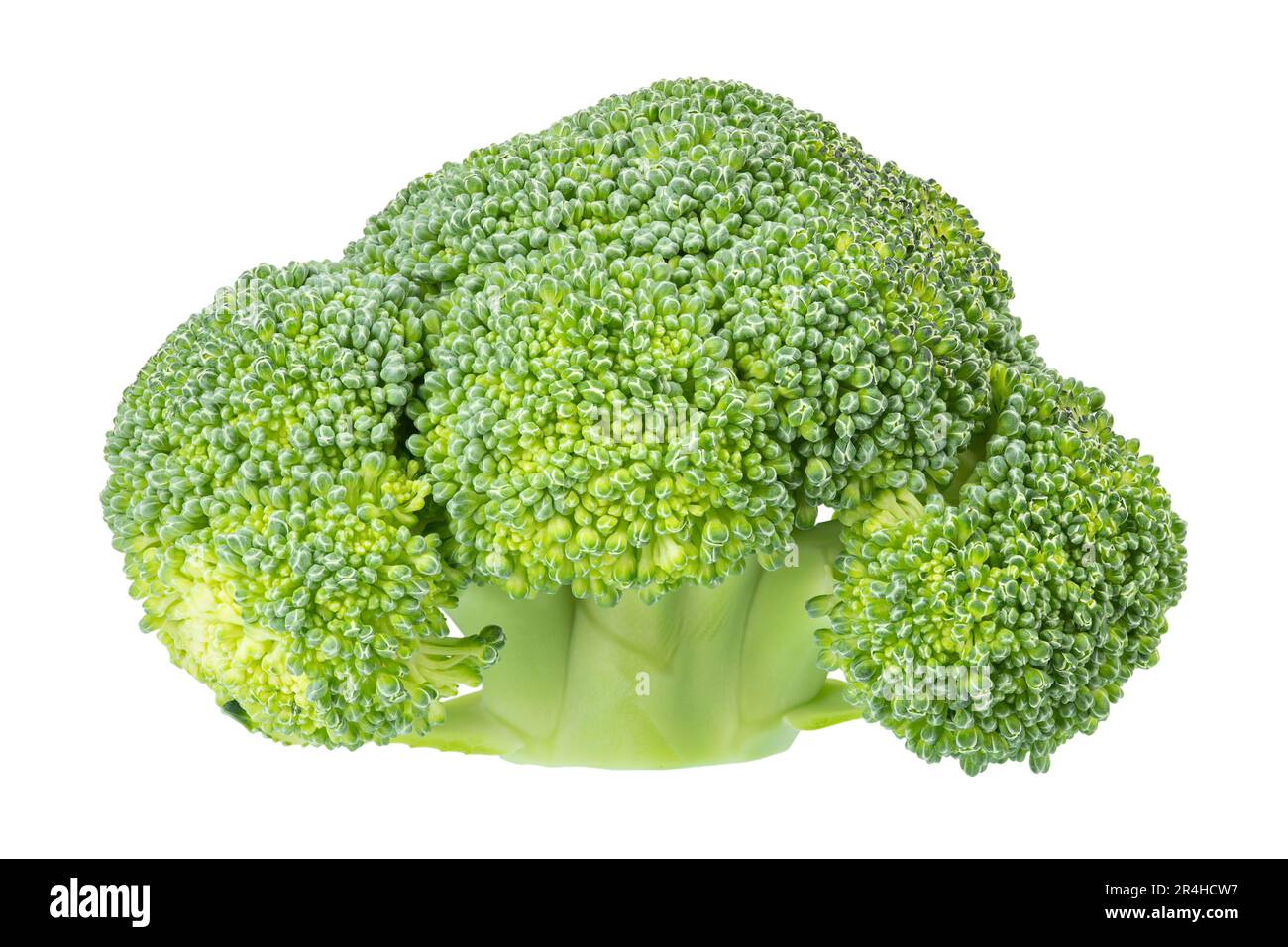 Fresh broccoli inflorescence isolated on white background. File ...