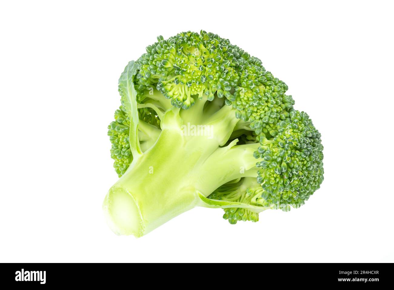 Fresh broccoli inflorescence isolated on white background. File ...