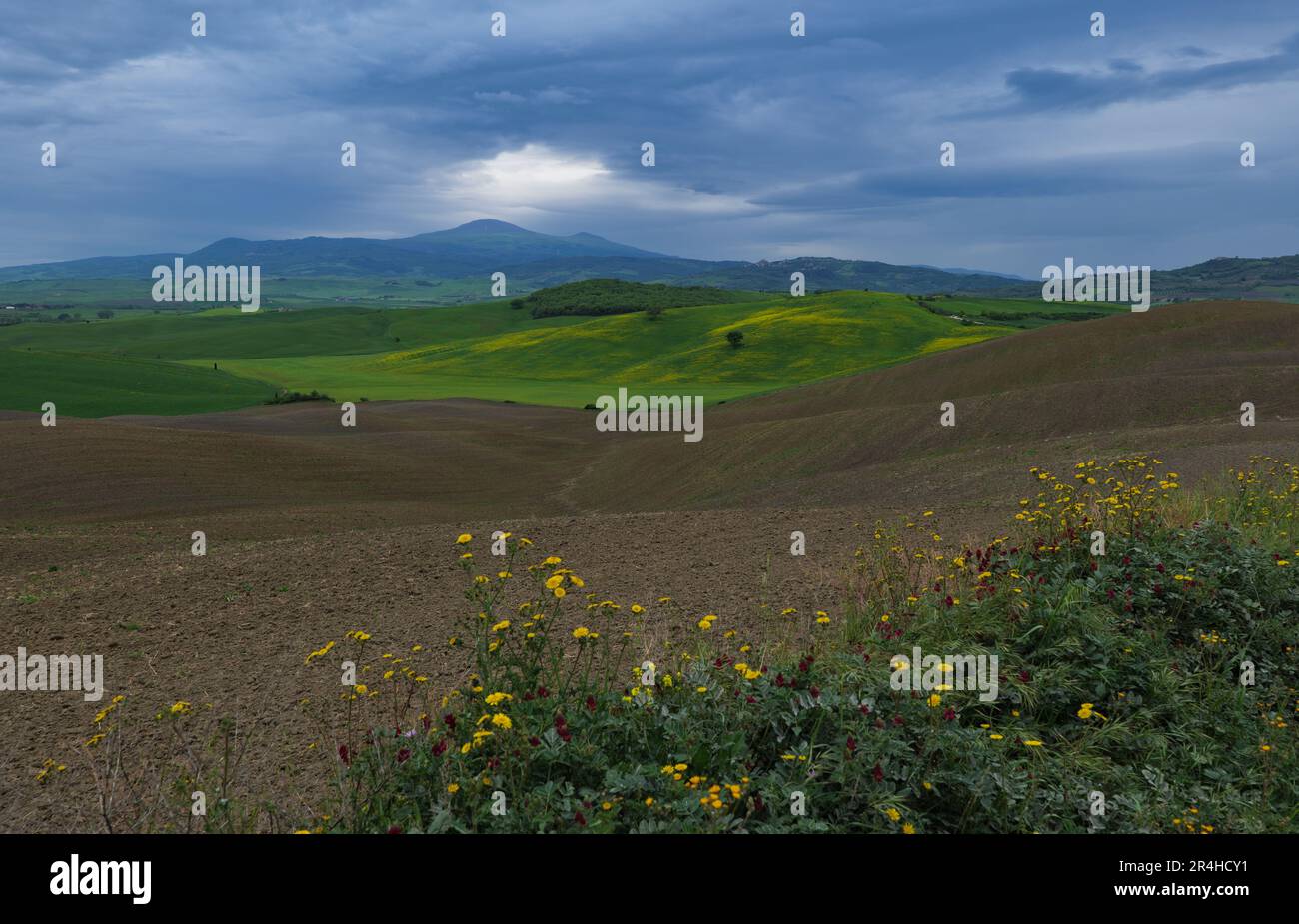 Tuscany fields in springtime, cloudy day mood, Val d'Orca, Pienza ...