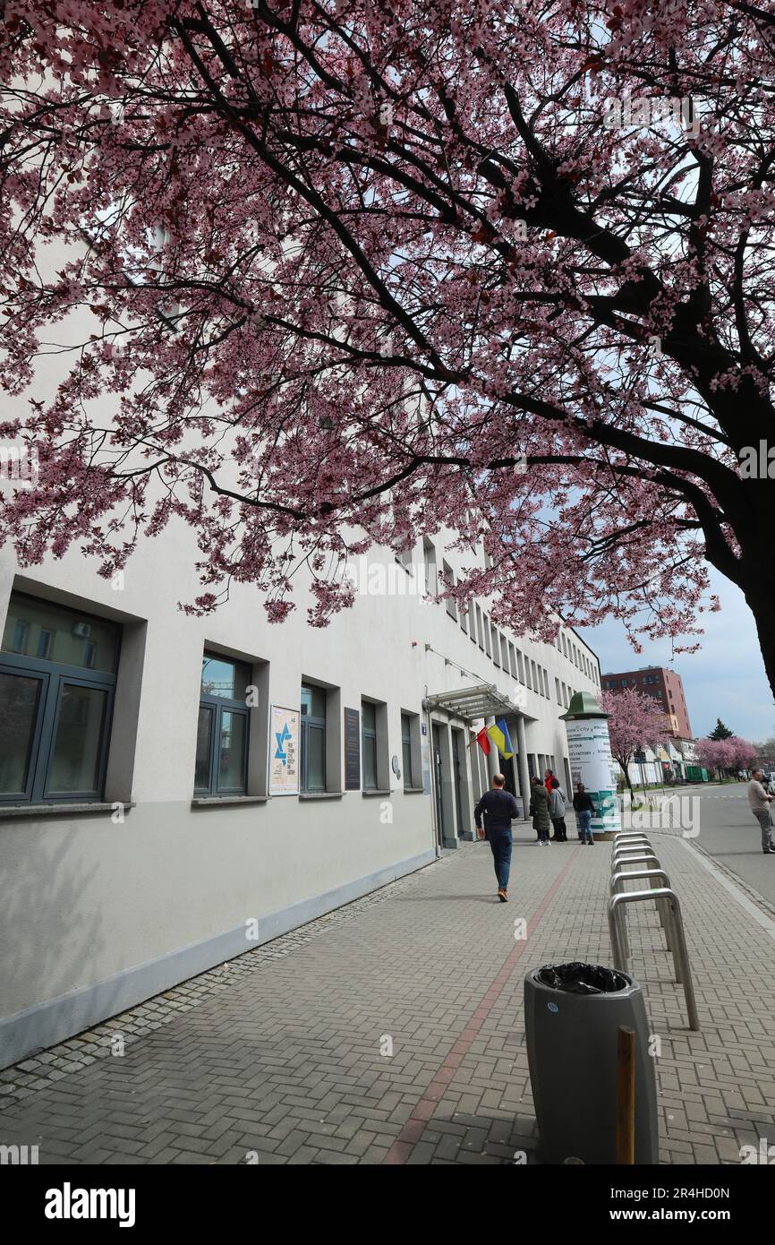 Oskar schindlers factory hi-res stock photography and images - Alamy