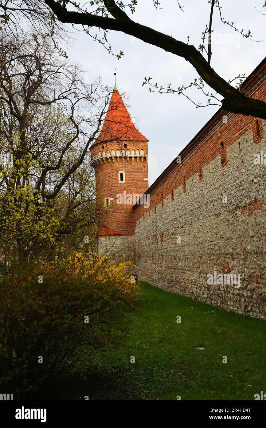 Defensive Wall and Tower, Krakow, Poland, Europe Stock Photo - Alamy