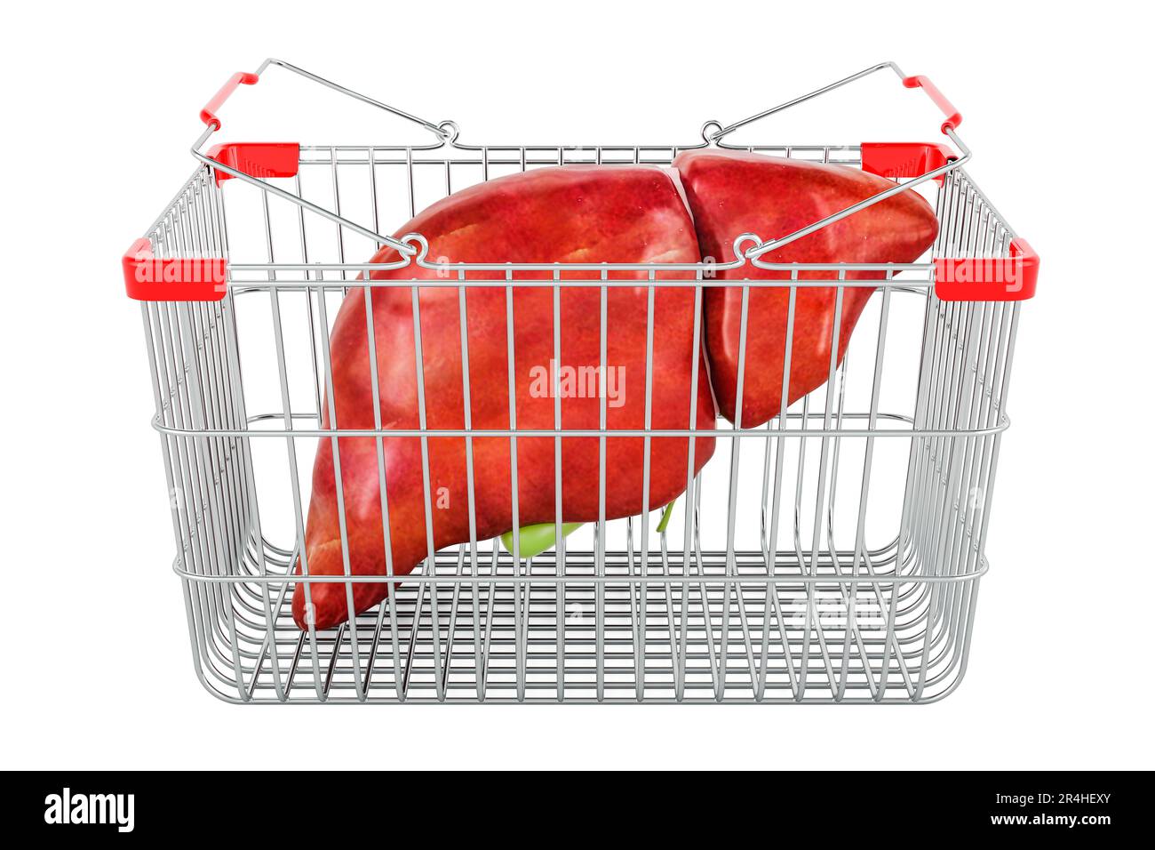 Human liver with gallbladder inside shopping basket, 3D rendering ...