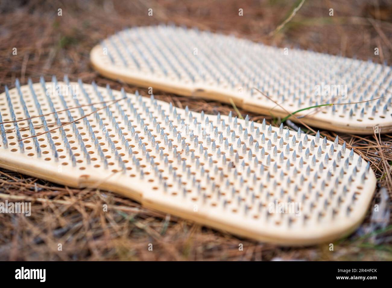 Sadhu board The practice of standing on nails. Yoga concept Stock Photo ...