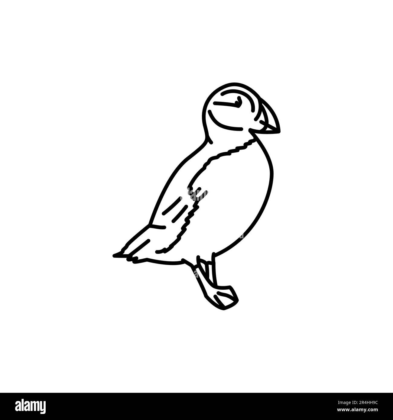 Puffin Outline Drawing