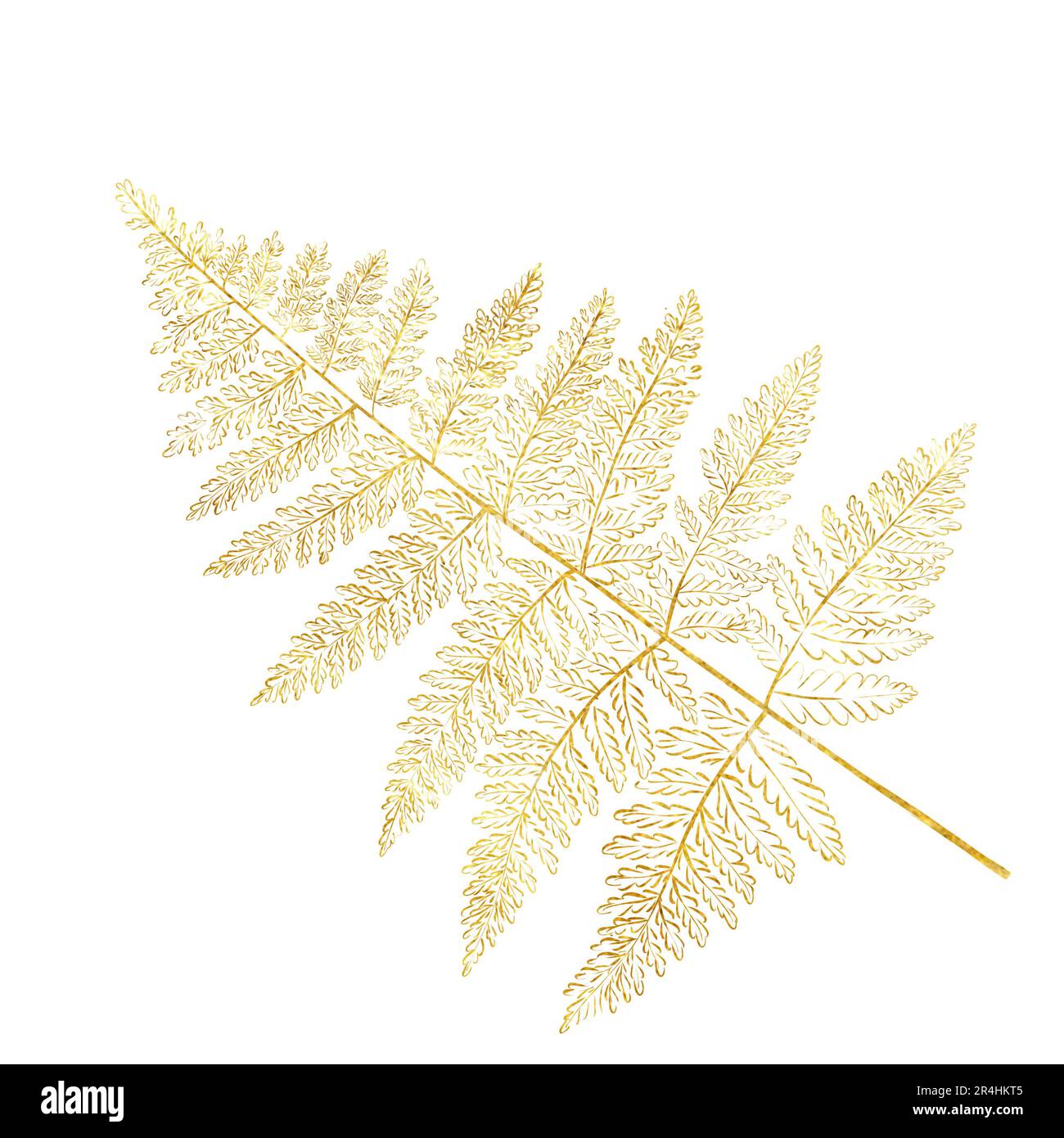 Golden fern leaf. Tropical forest botany. exotic plants. Ideal for ...
