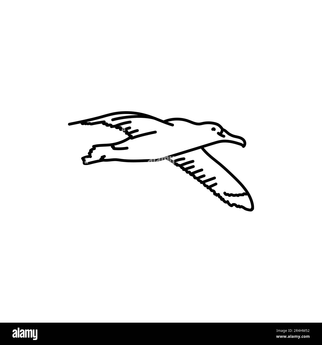 Albatross Bird Black Line Icon Pictogram For Web Page Mobile App Promo Stock Vector Image