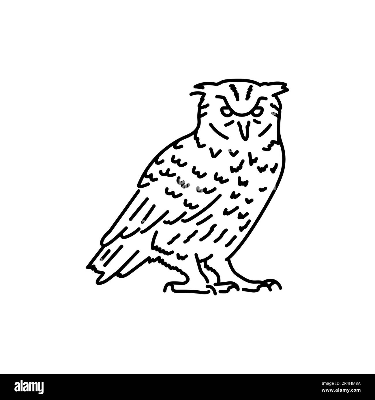 Simple Owl Outline