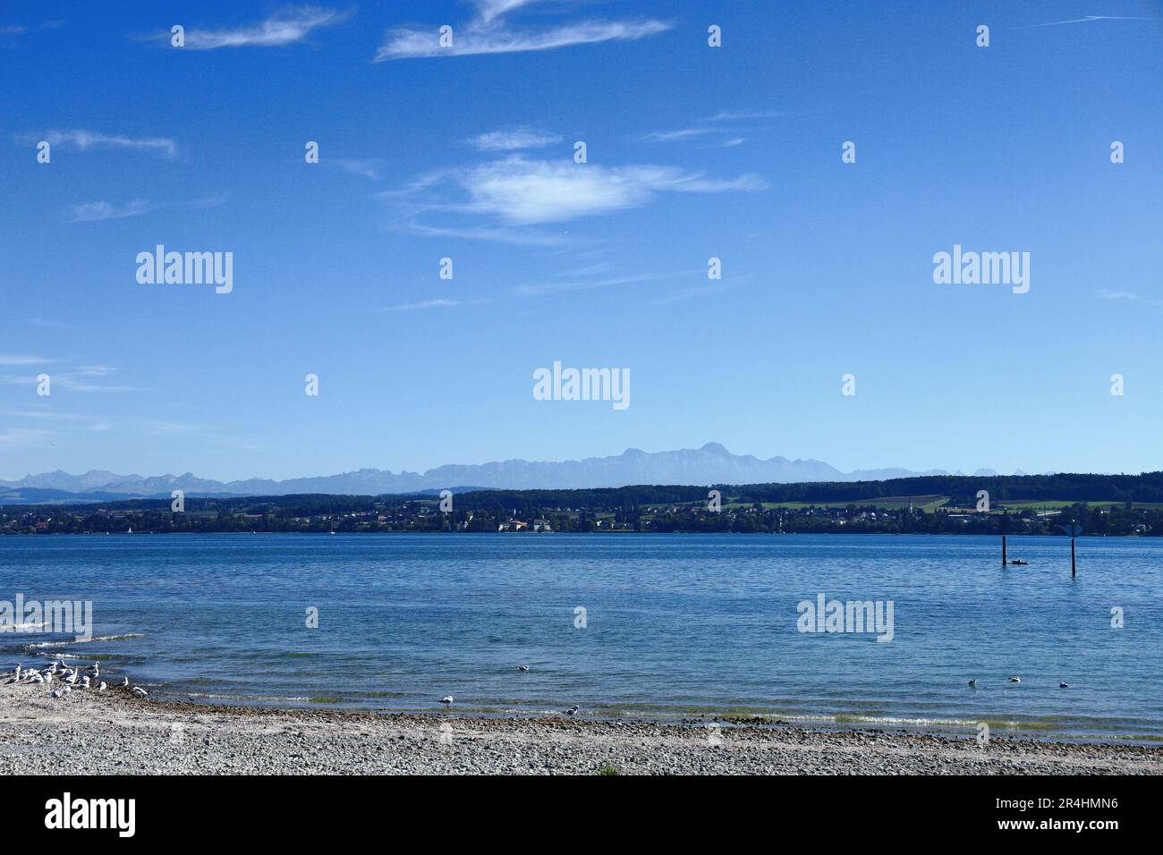 Lake Constance View alps Stock Photo - Alamy