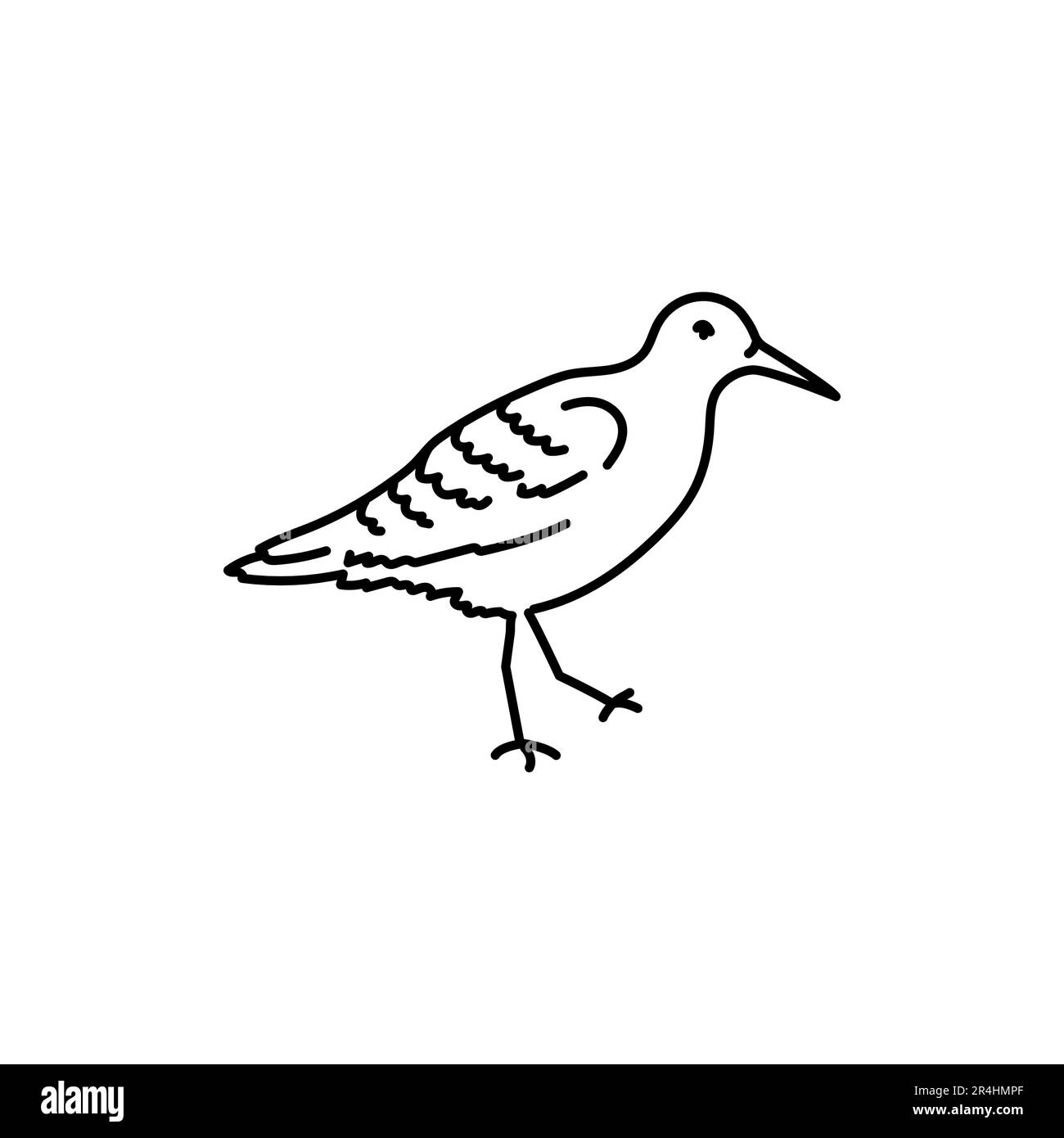 Shore bird shorebird Black and White Stock Photos & Images - Alamy