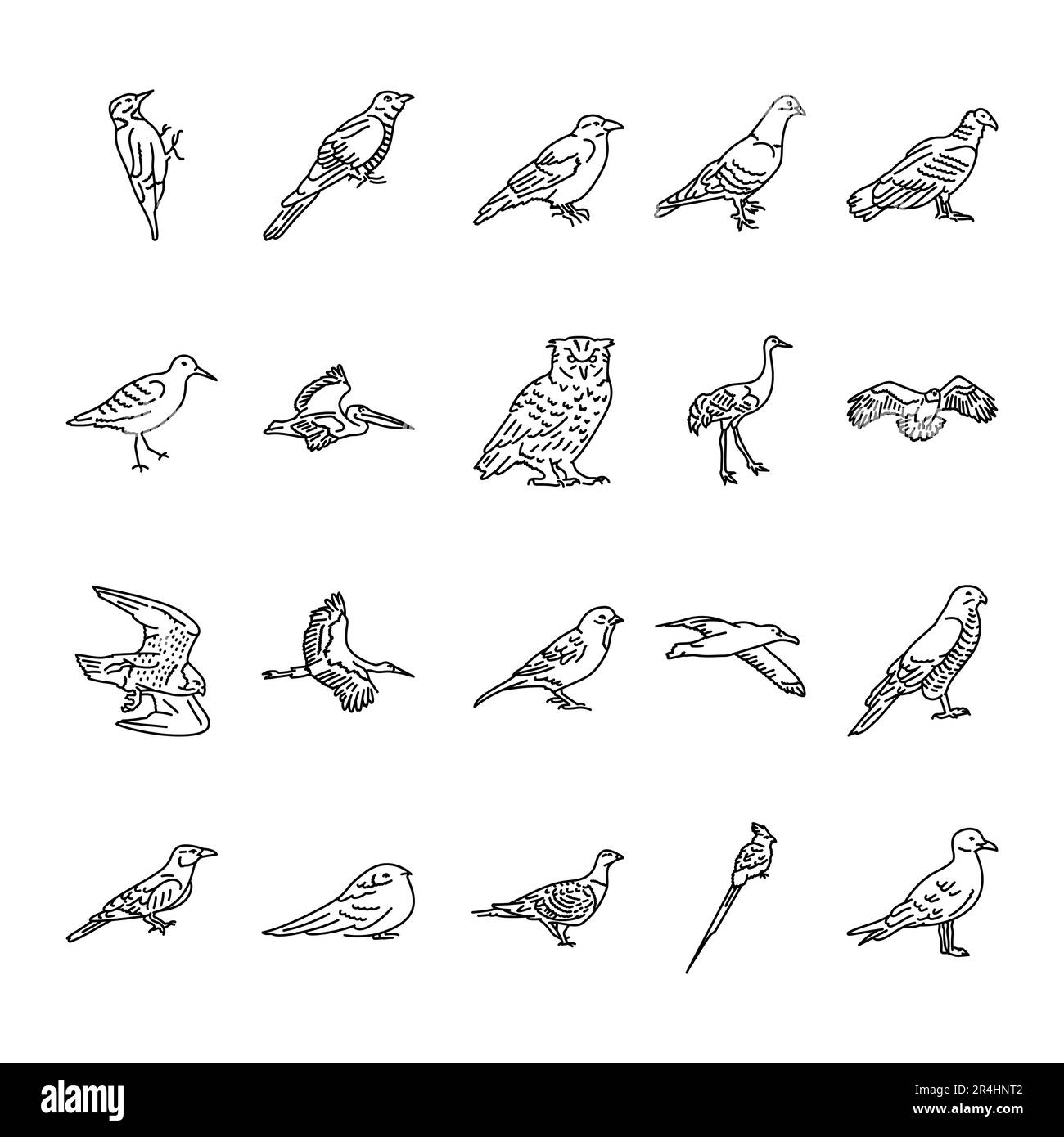 Birds black line icons set Stock Vector Image & Art - Alamy