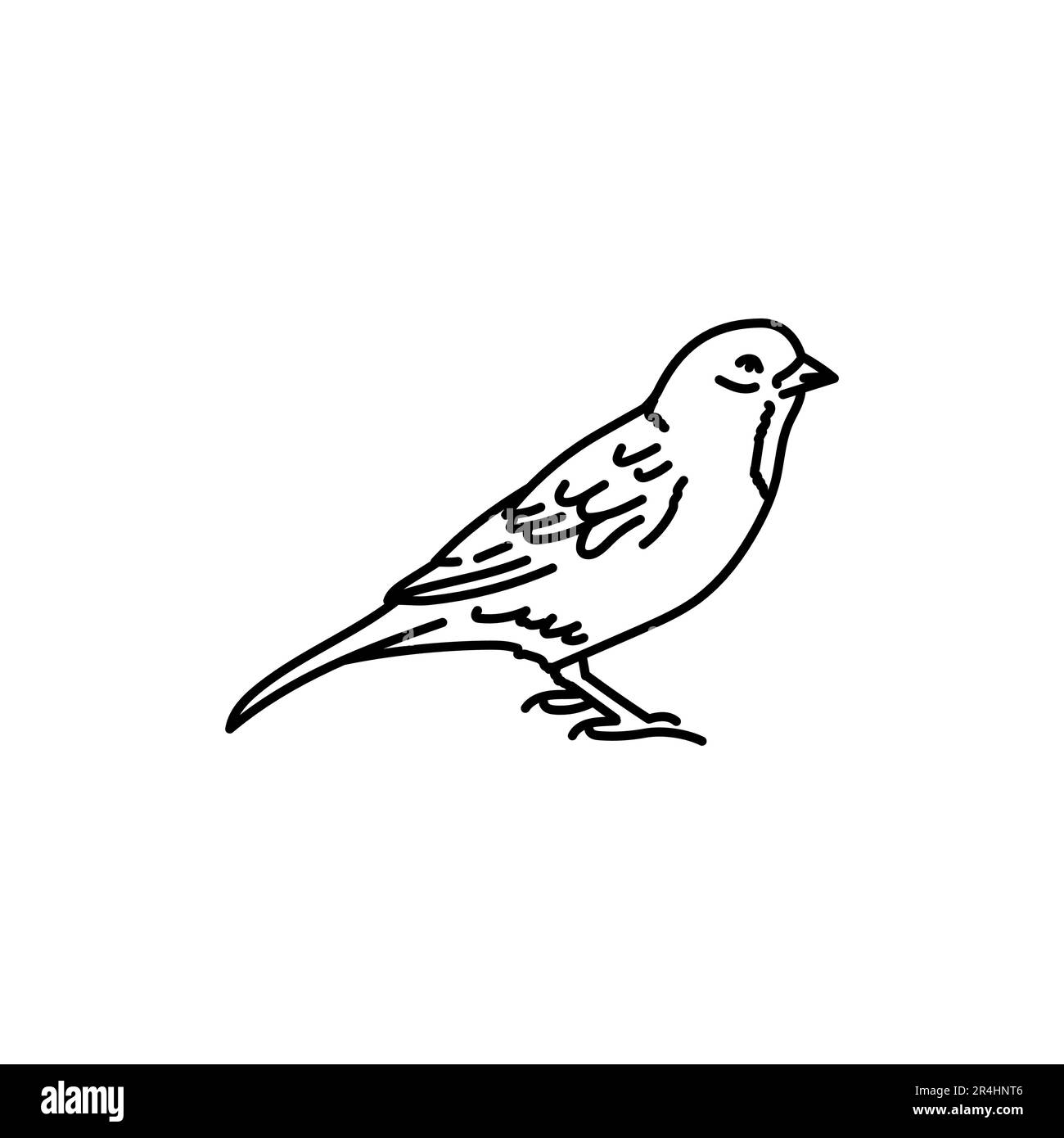 Simple Sparrow Outline
