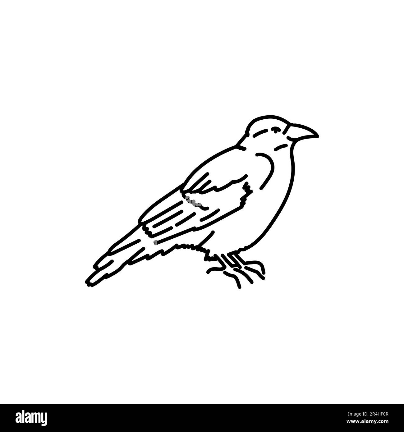 Raven bird black line icon Stock Vector Image & Art - Alamy