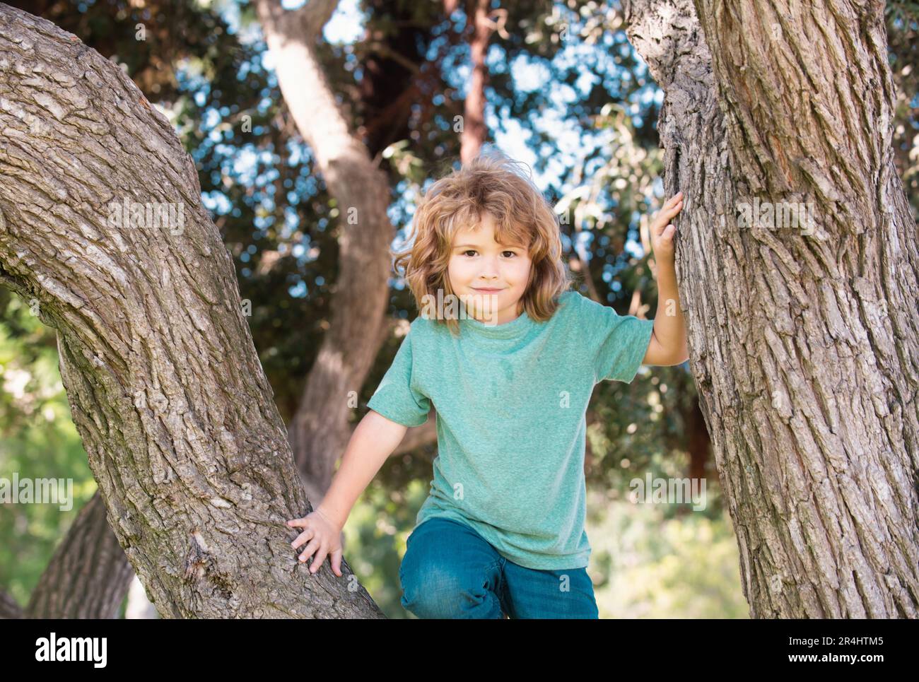 Little child boy trying to climb a tree. Kids climbing a tree. Kid boy ...