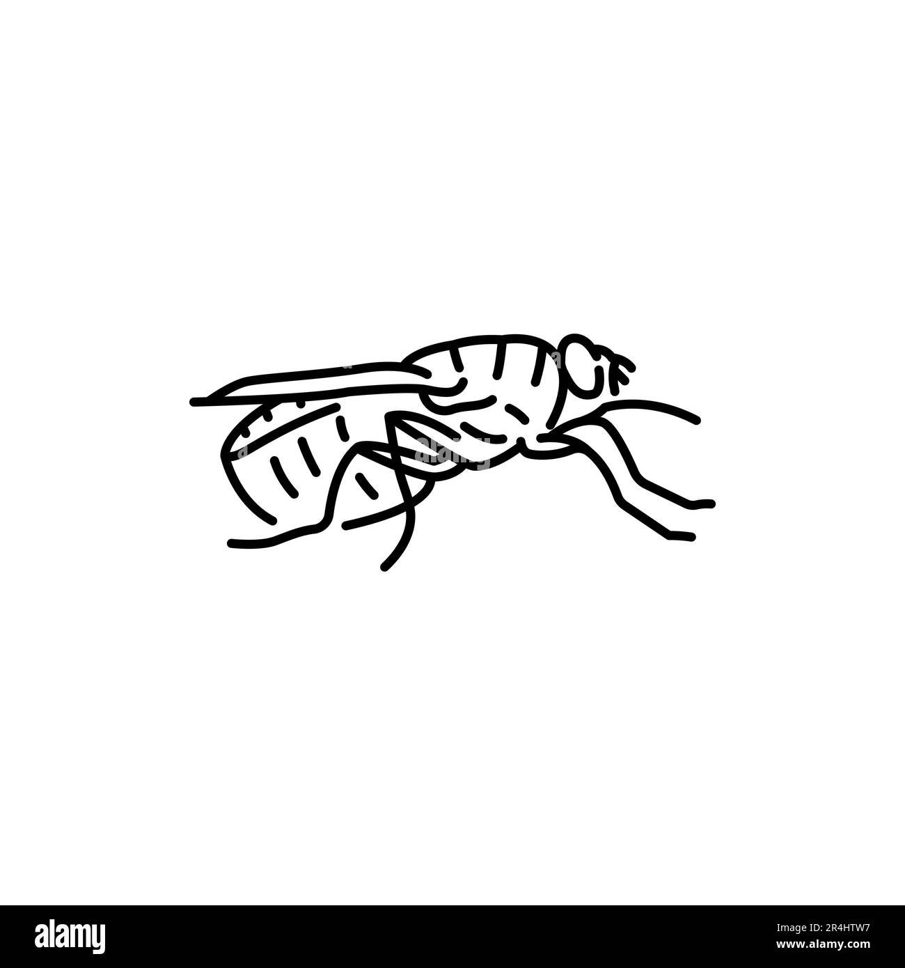 Tsetse fly bite Stock Vector Images - Alamy