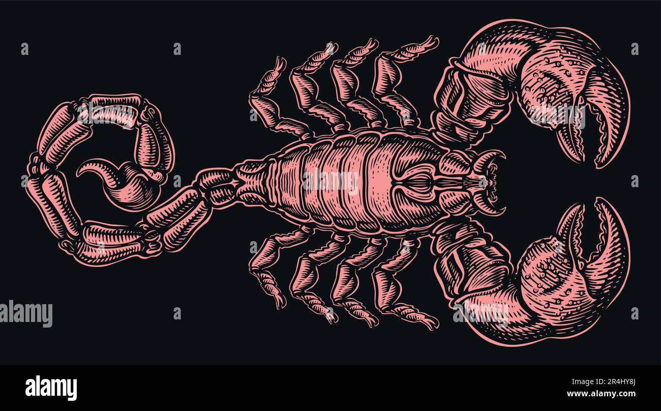 Scorpion clipart Stock Vector Images - Alamy