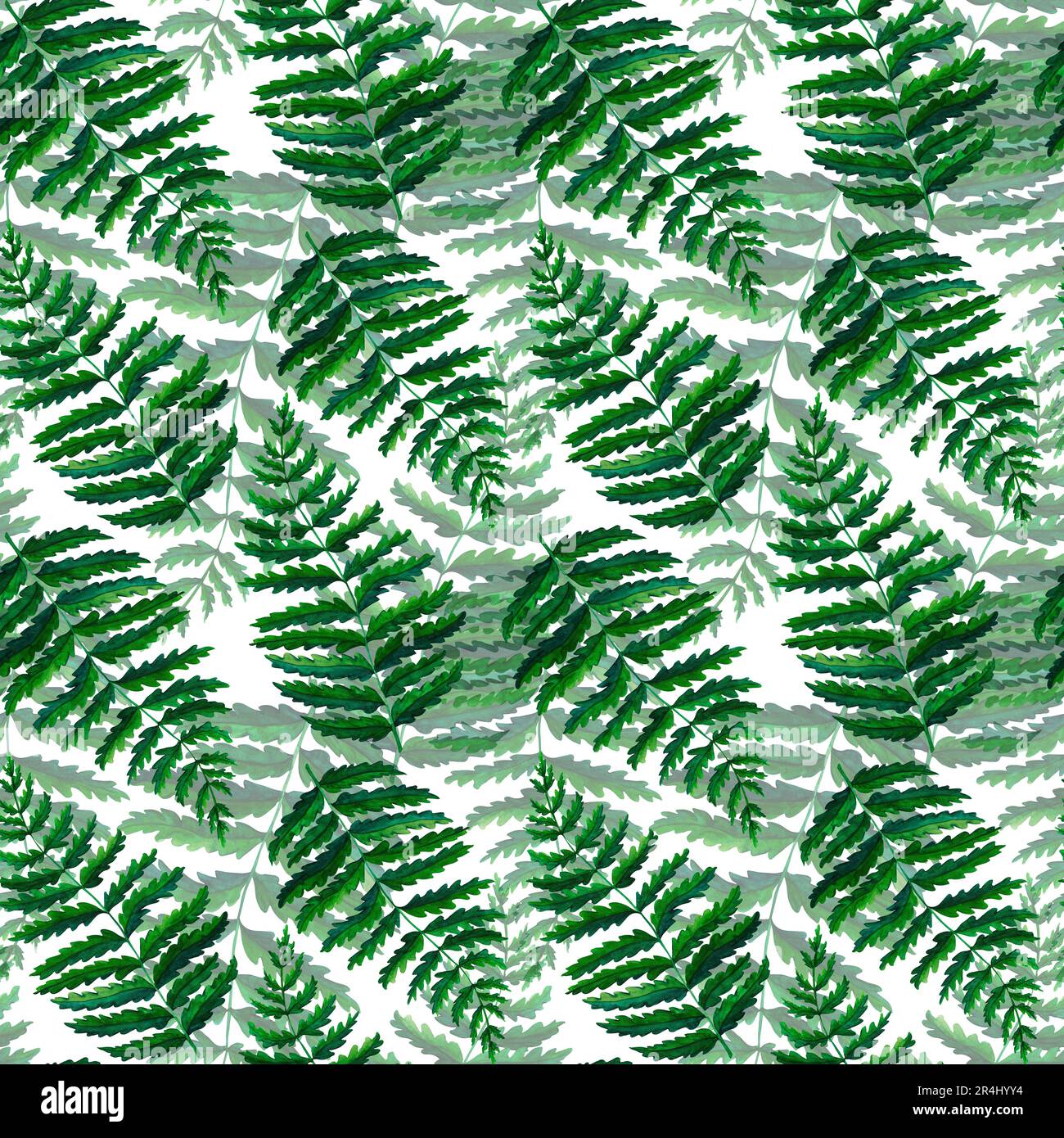Seamless pattern fern watercolor hand painted illustration in green ...