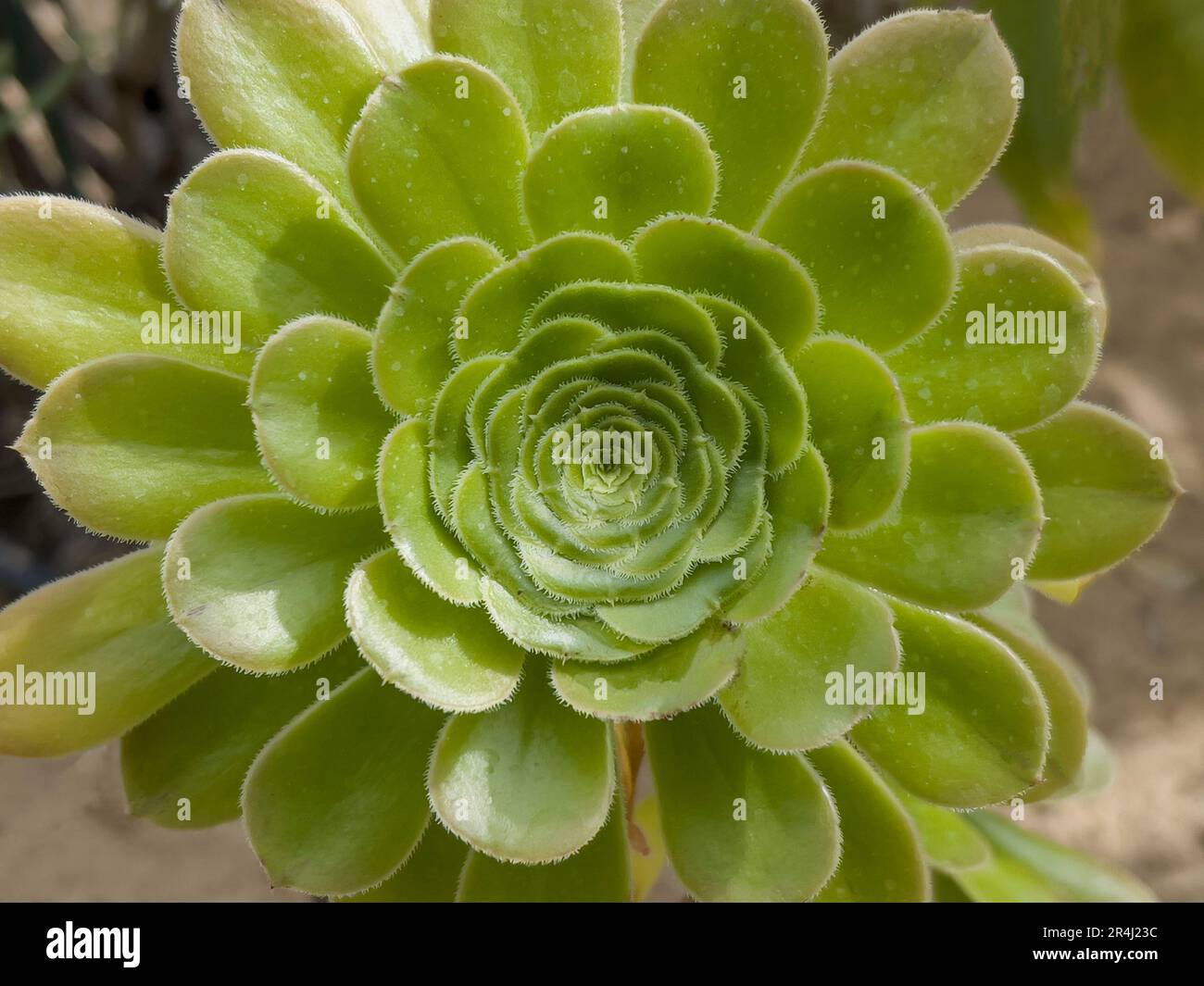 Stern plan hi-res stock photography and images - Alamy