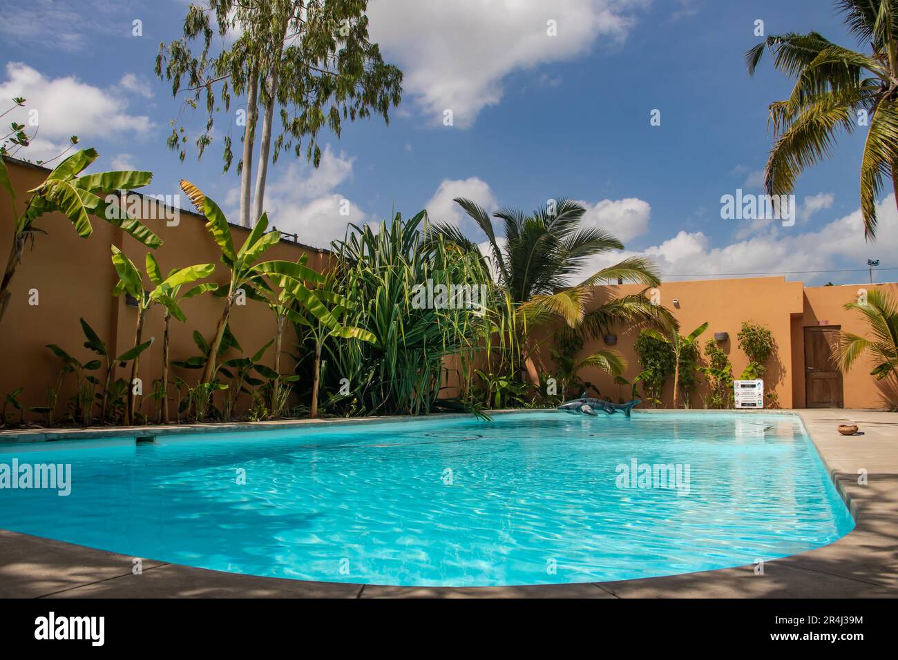 Swimming pool in tropical paradise with palm trees around and crystal ...