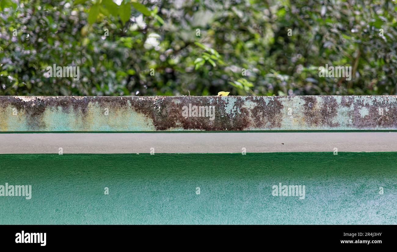 Mold formation of concrete slab due seeping of rain water Stock Photo ...