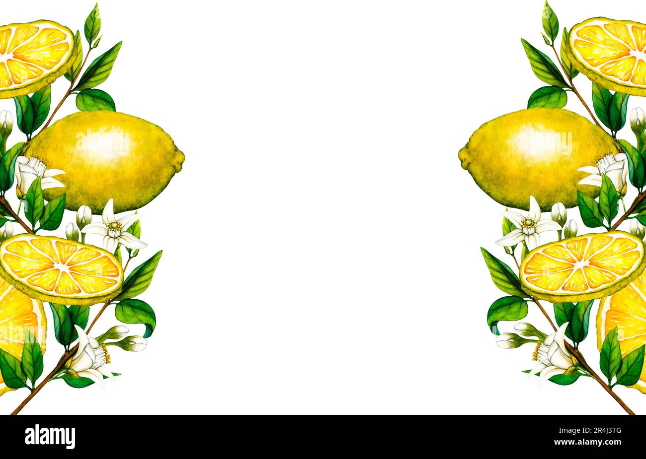 Watercolor frame lemon tree branch with flowers isolated on white ...