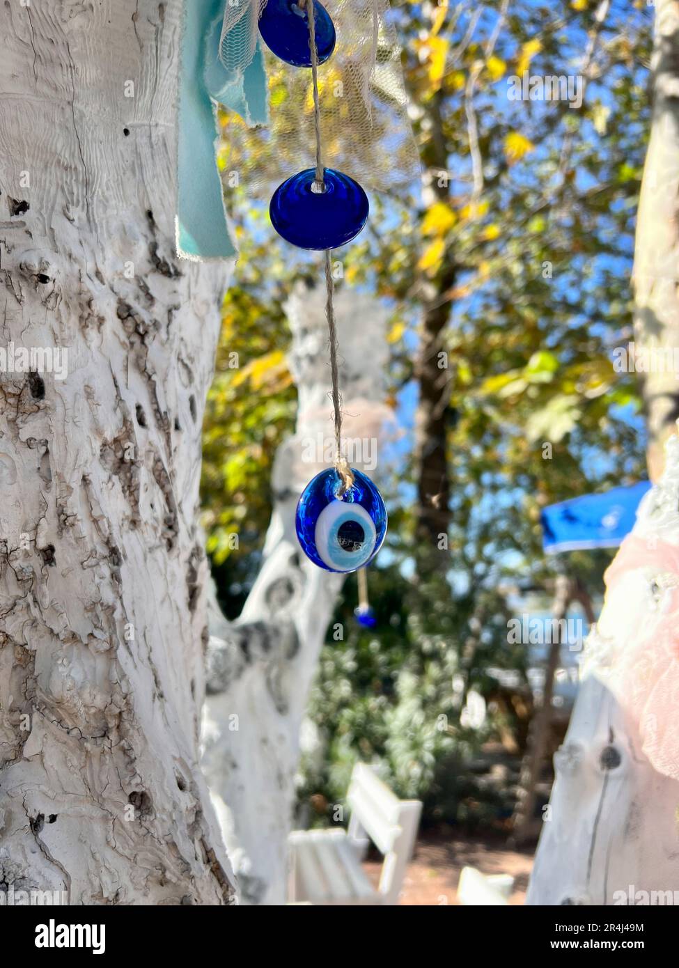 evil eye beads, blue evil eye beads hanged on white colored tree in ...