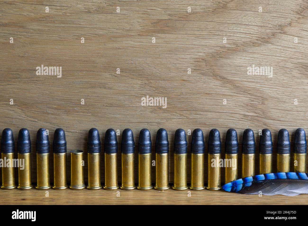 Empty cartridge hi-res stock photography and images - Alamy