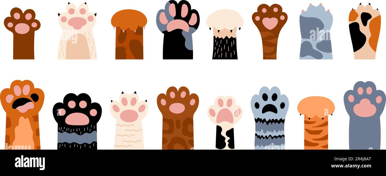 Cartoon cat foots, different sweet kitten paws. Isolated flat pets paw ...