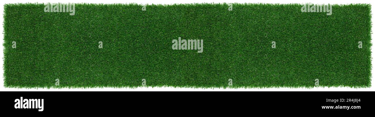 Meadow green grass surface. Turf blank top view background with ...